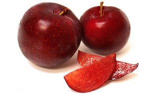 Santa Rosa Plum Tree Profile - SeedWise - SeedWise.com